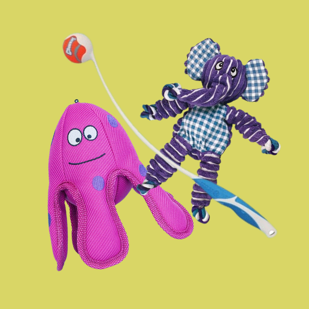 Hondenspeelgoed – Pawty